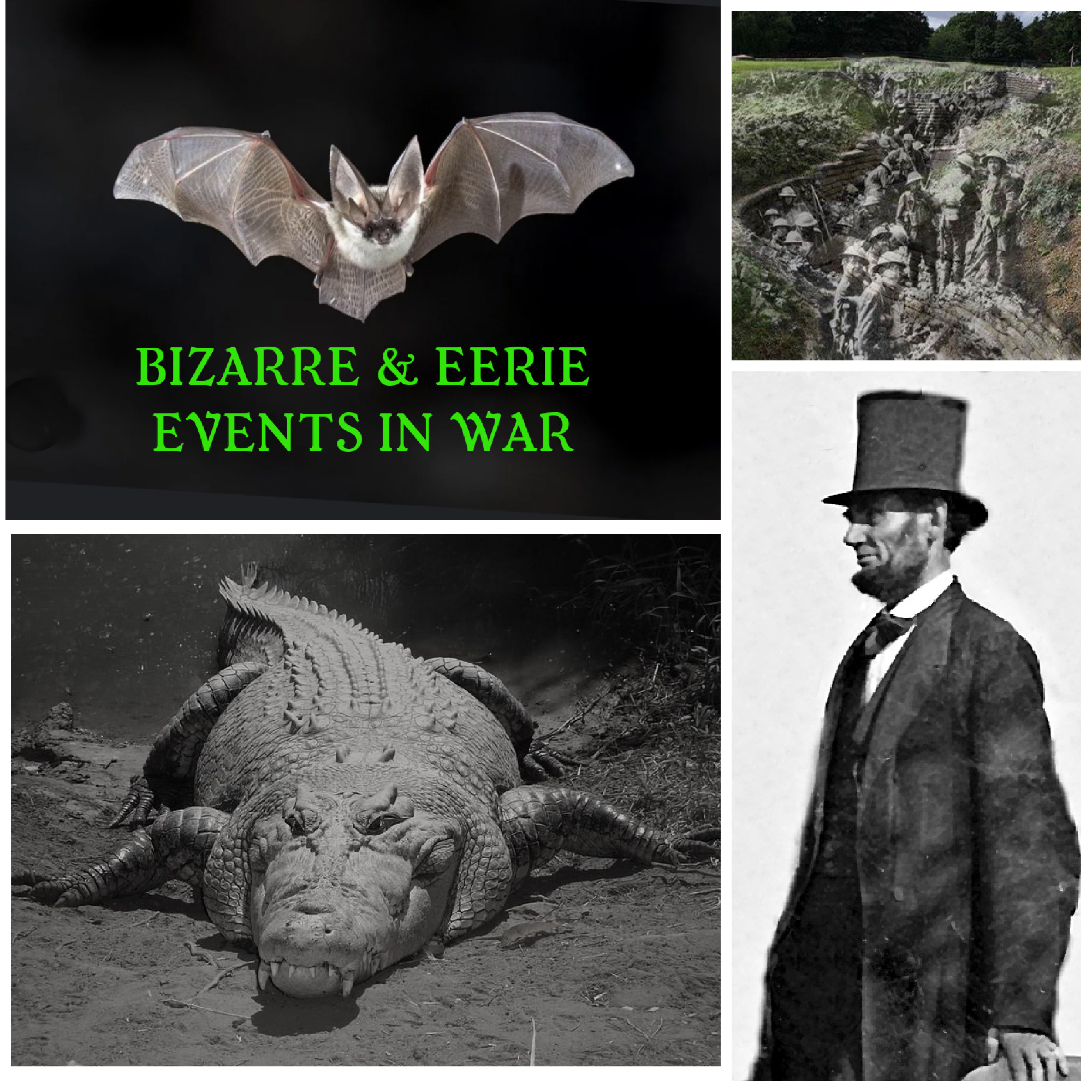 Bizarre & Eerie Events in War - Falmouth Museums on the Green